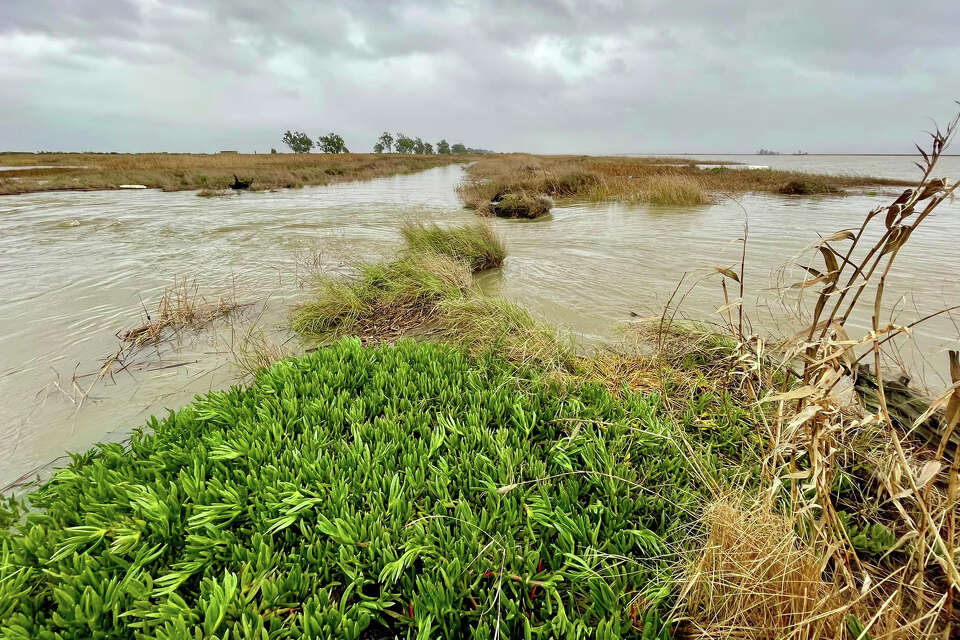 The war over a private island in the San Francisco Bay