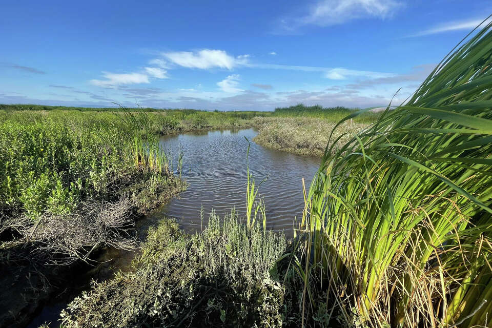 The war over a private island in the San Francisco Bay