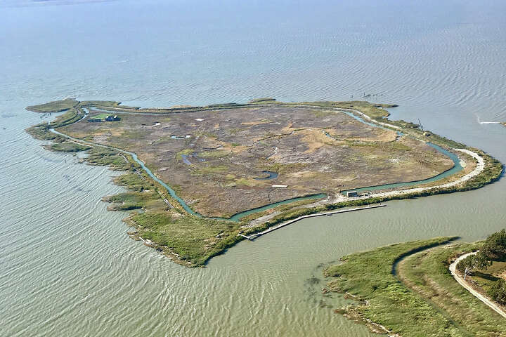 Former owner arrested at $3.8M auction for SF Bay private island