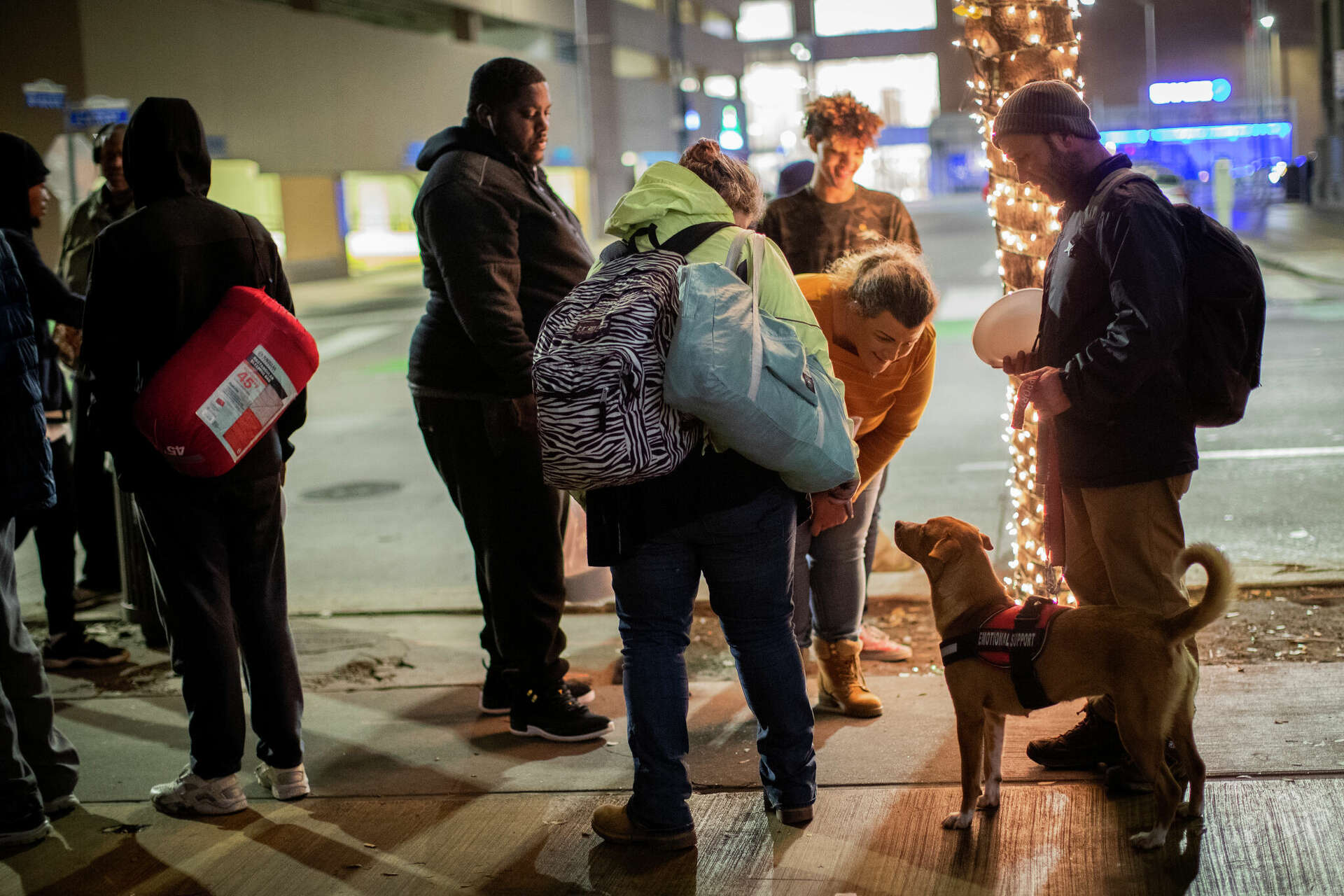 Found a stray dog or cat in the cold? Here's how you can help.