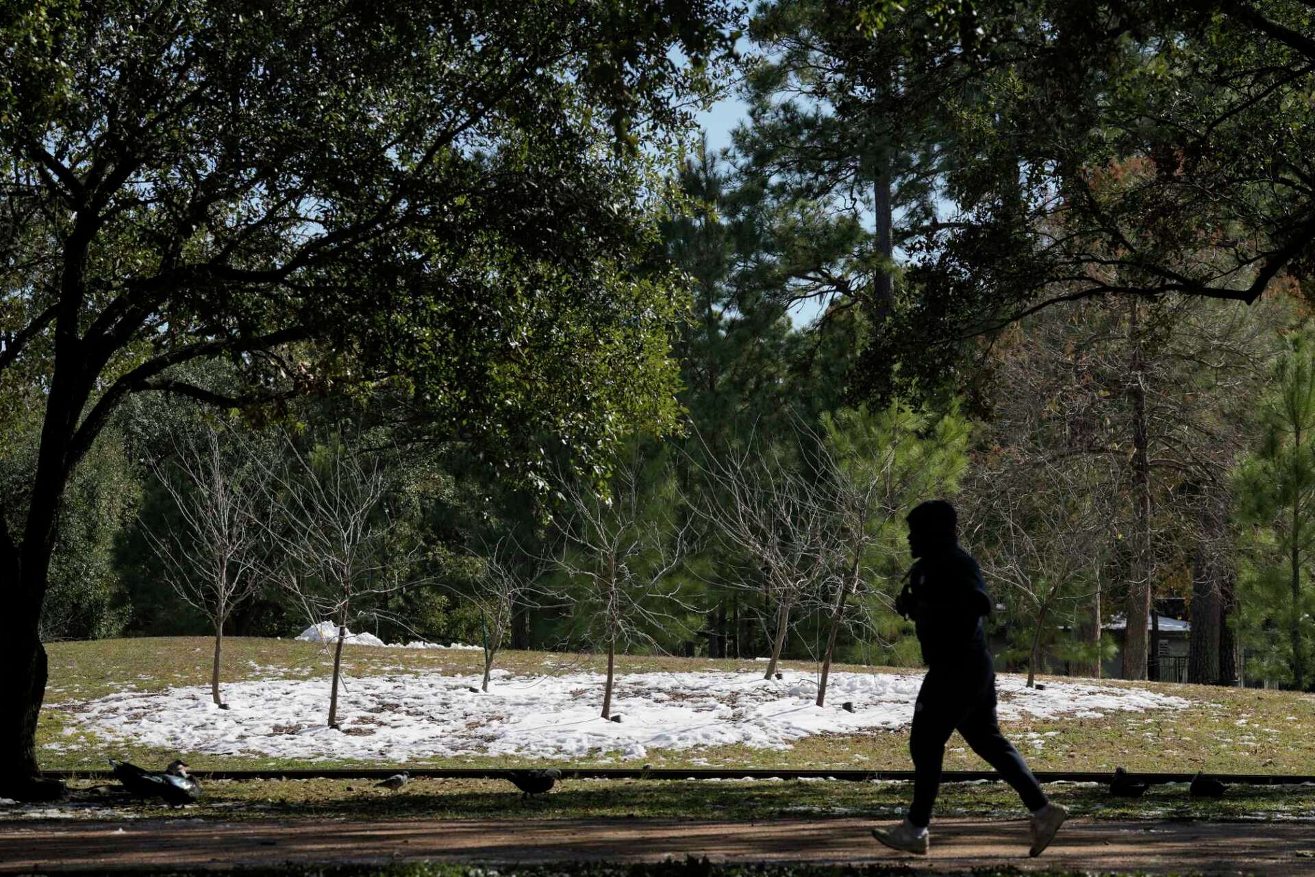 Hermann Park golf course, walking trail to undergo renovations