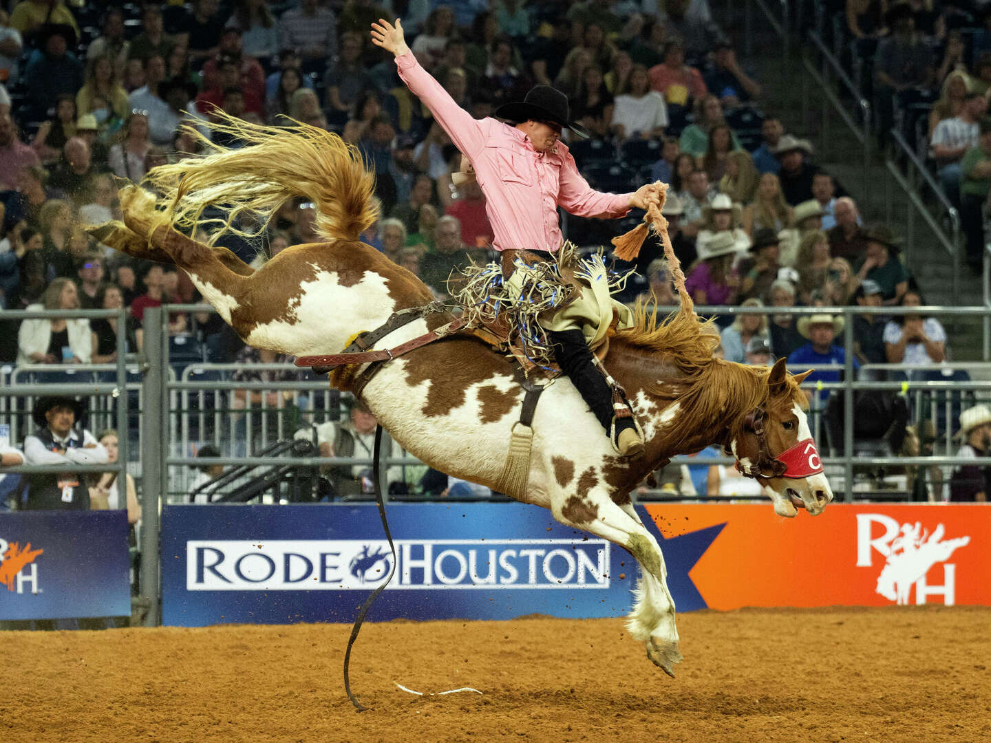 Houston Livestock Show and Rodeo: What to know, when and how to watch