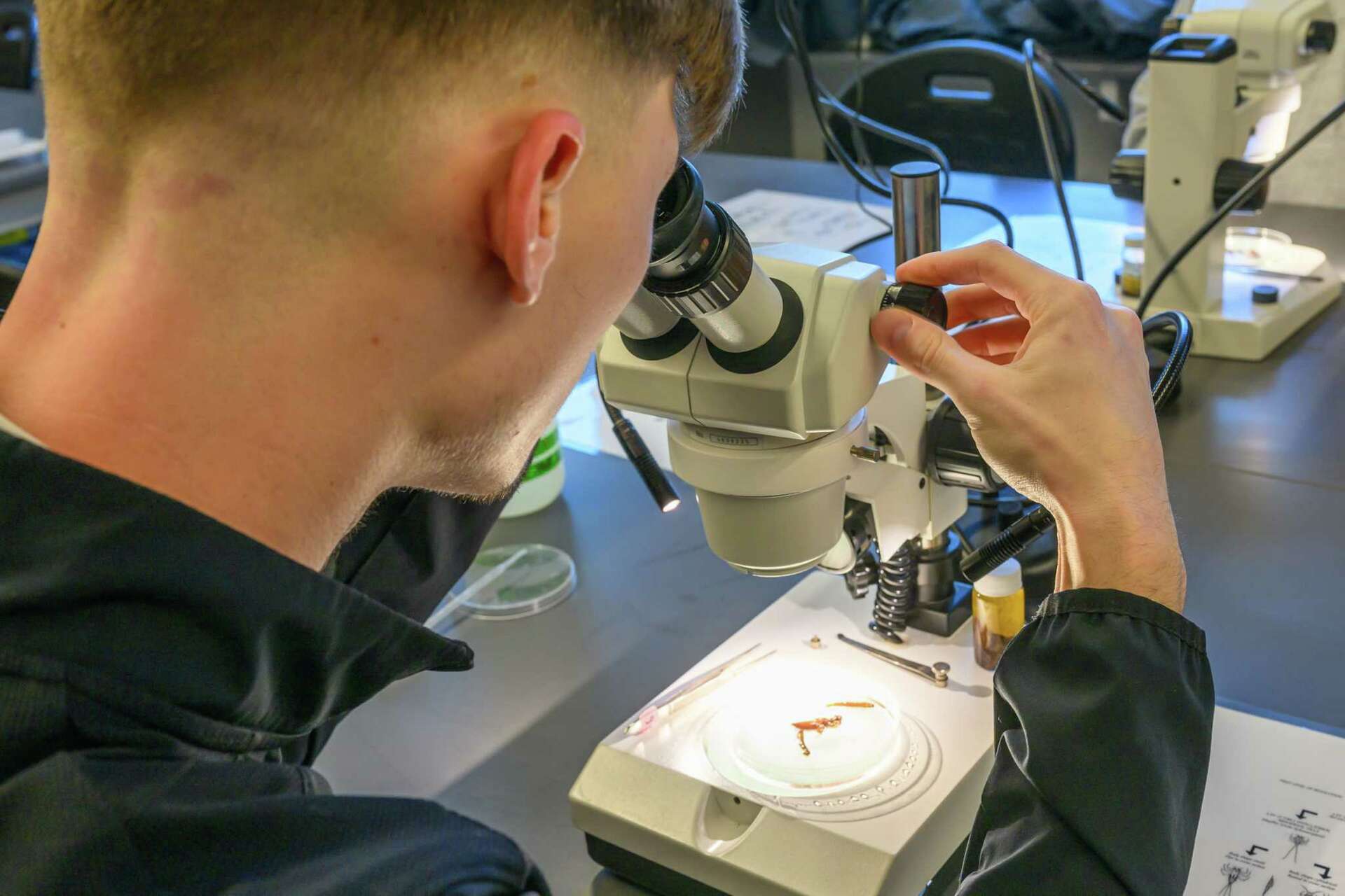 Siena College unveils $35 million science building, Nobel Hall