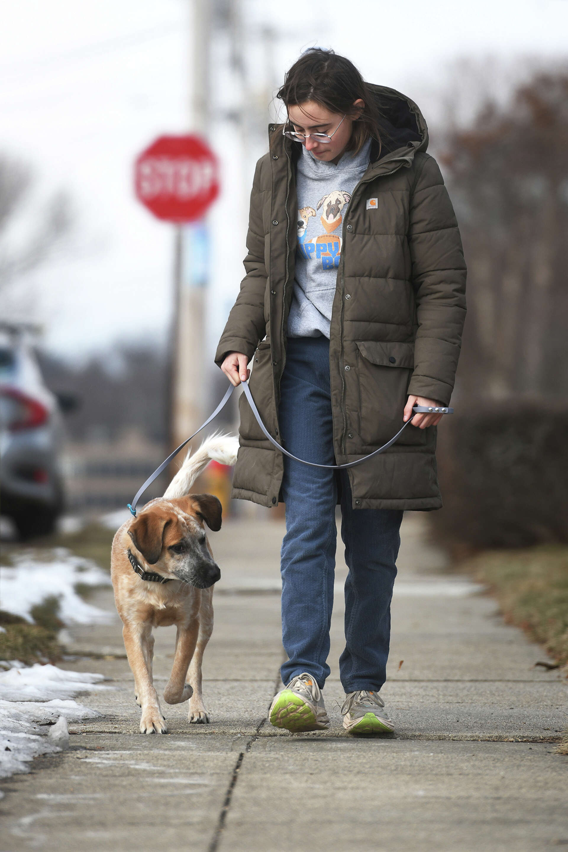 Meet the two Stamford rescue dogs in the upcoming Puppy Bowl