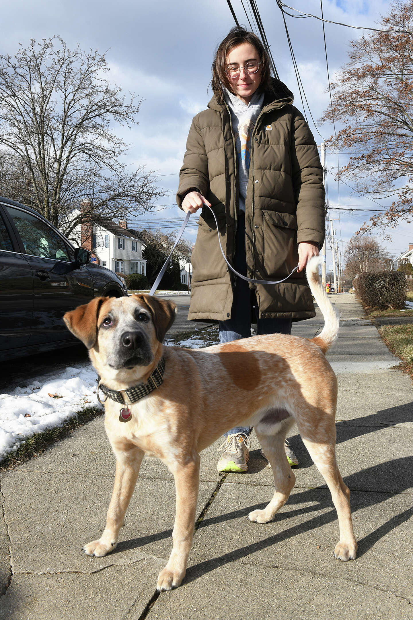 Meet the two Stamford rescue dogs in the upcoming Puppy Bowl