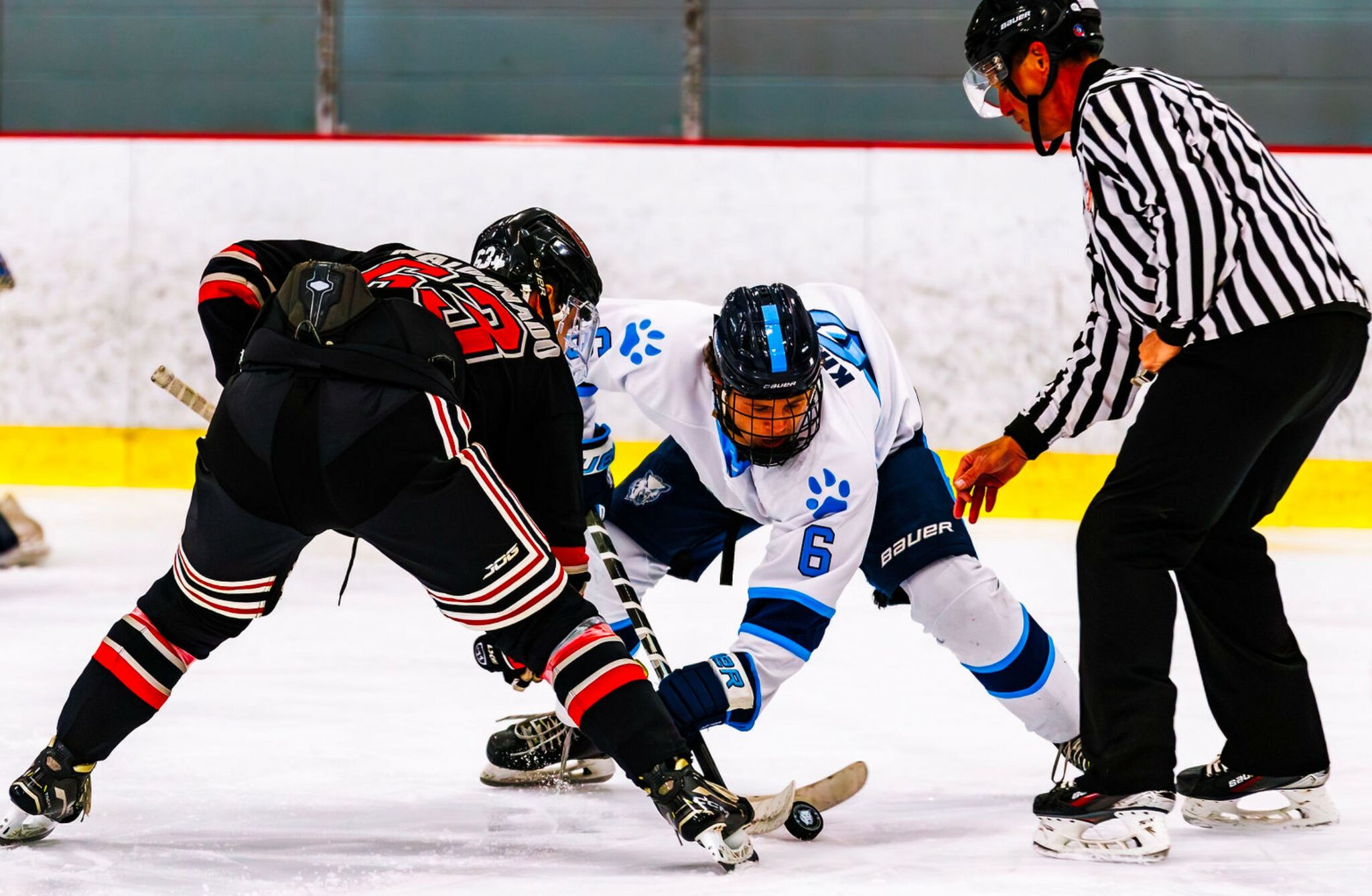 Midland's Kroll, White part of NU hockey's resurgence