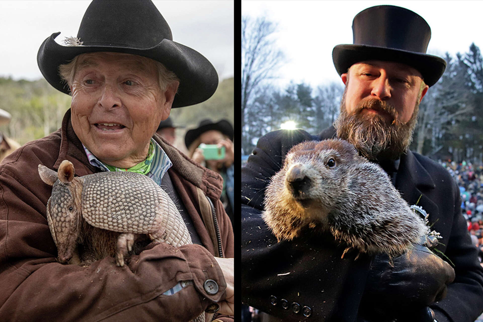 Groundhog Day: How often do Punxsutawney Phil and Bee Cave Bob agree