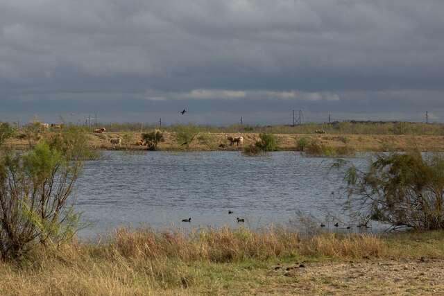 53,000 acres of Piloncillo Ranch in South Texas is for sale