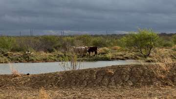 53,000 acres of Piloncillo Ranch in South Texas is for sale