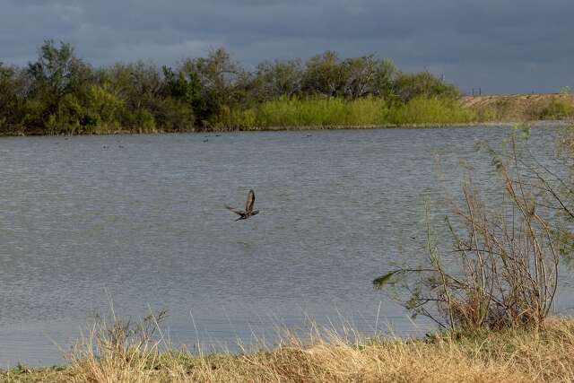 53,000 acres of Piloncillo Ranch in South Texas is for sale