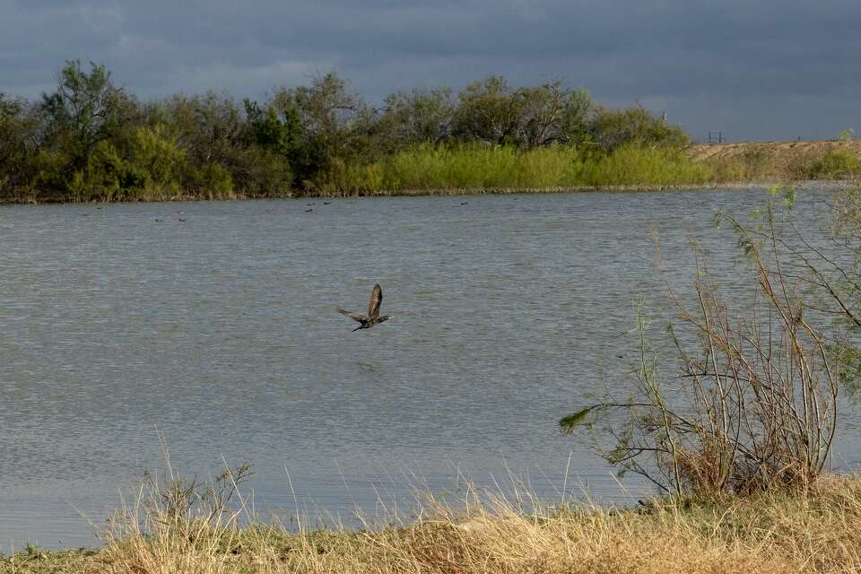 53,000 acres of Piloncillo Ranch in South Texas is for sale