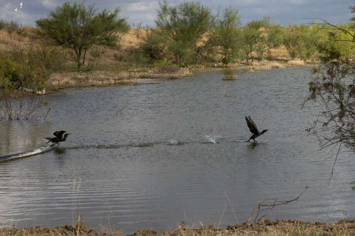 53,000 acres of Piloncillo Ranch in South Texas is for sale
