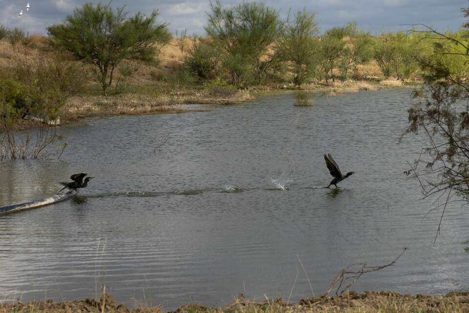 53,000 acres of Piloncillo Ranch in South Texas is for sale