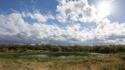 53,000 acres of Piloncillo Ranch in South Texas is for sale