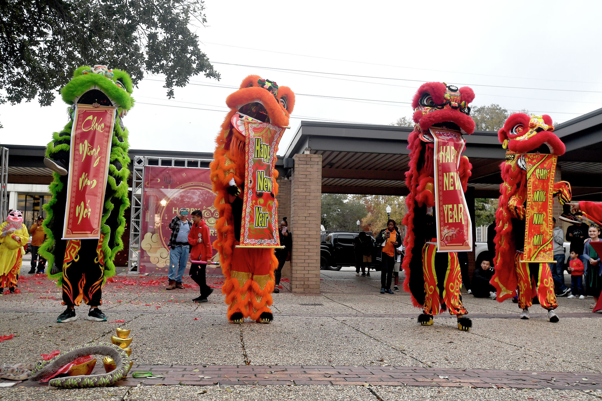 Lion dancers usher in the Year of the Snake
