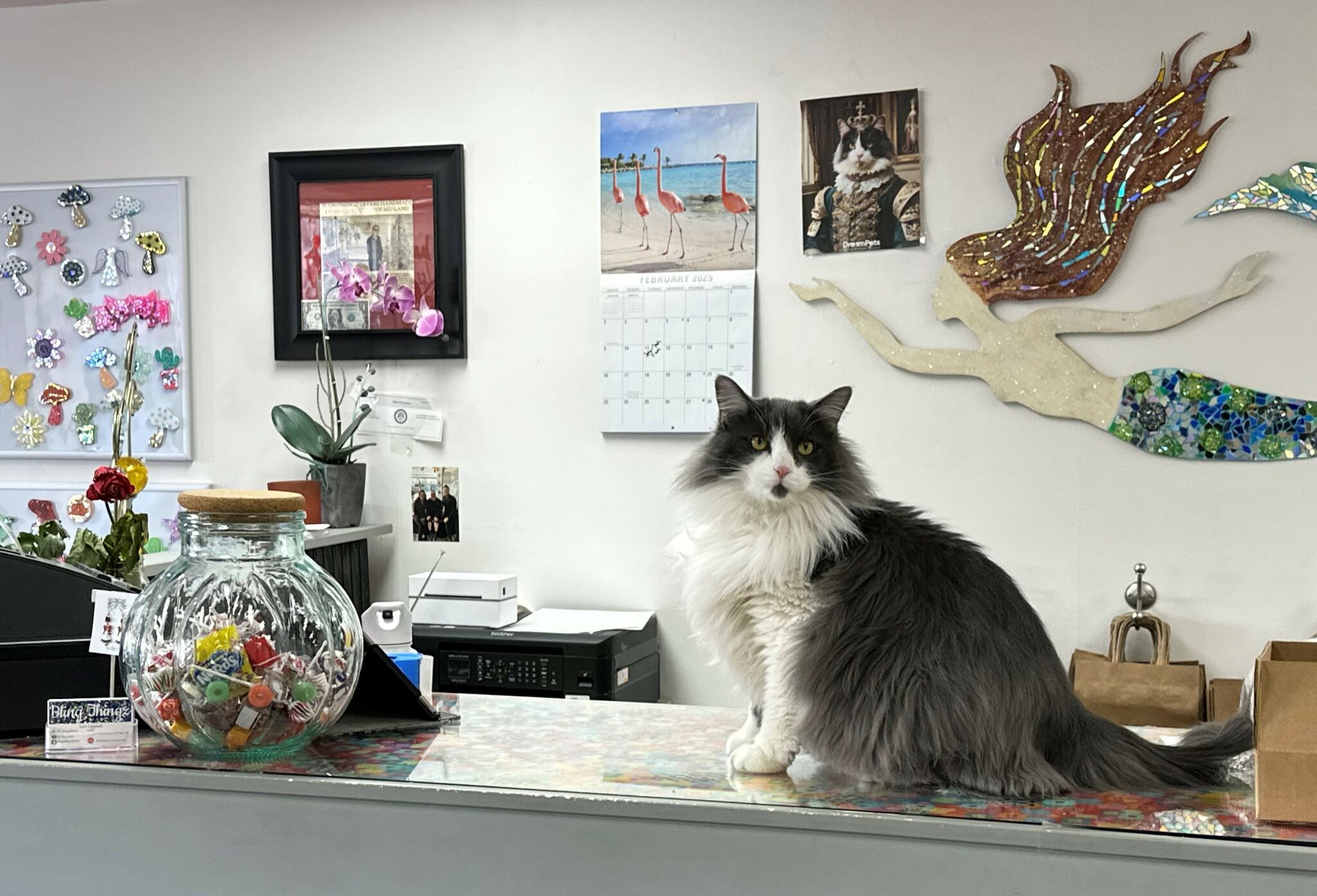 Bling Thingz is the downtown arts shop with its own mascot