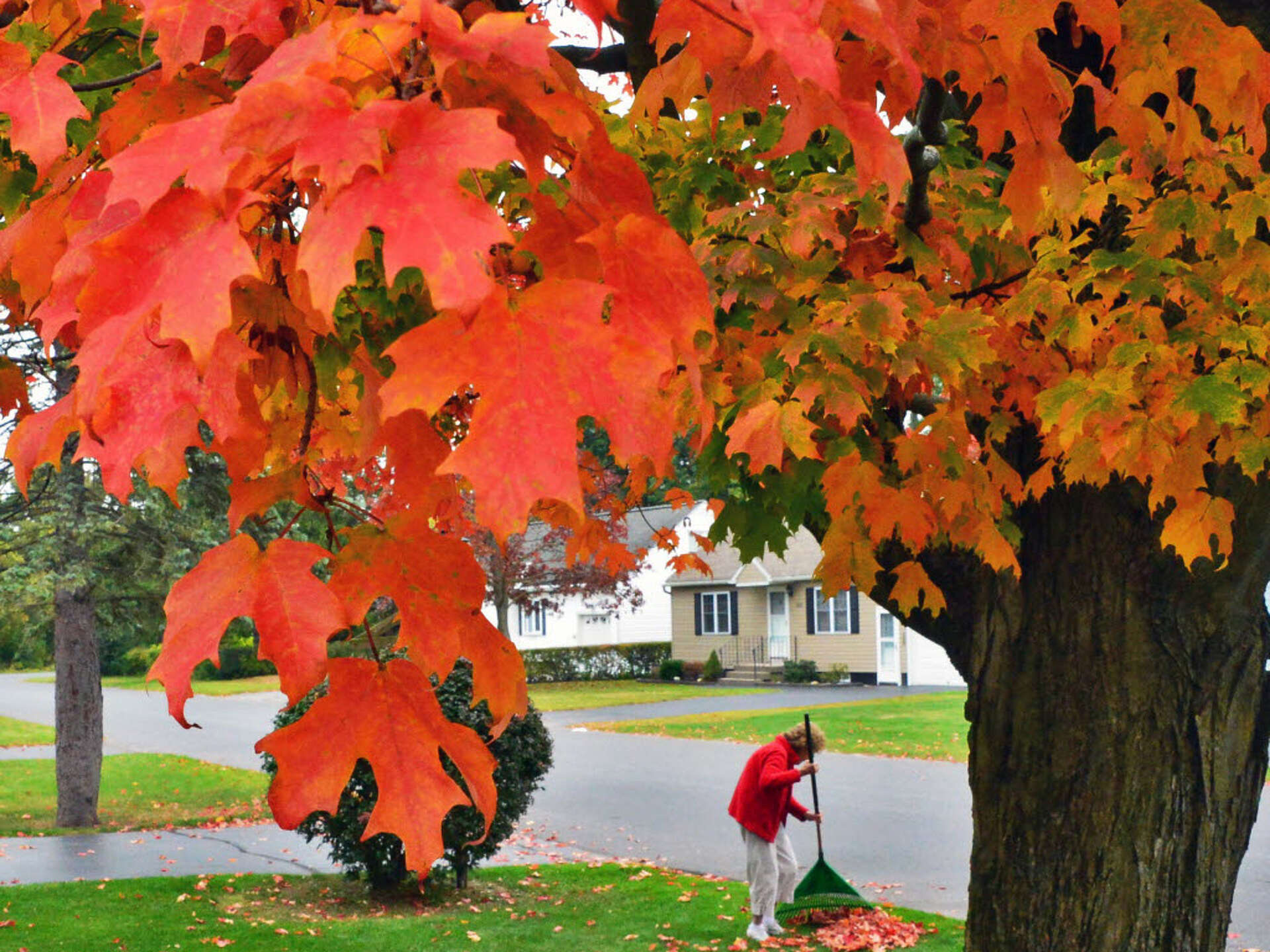 What is 'false fall' — and is the Capital Region about to be in it?