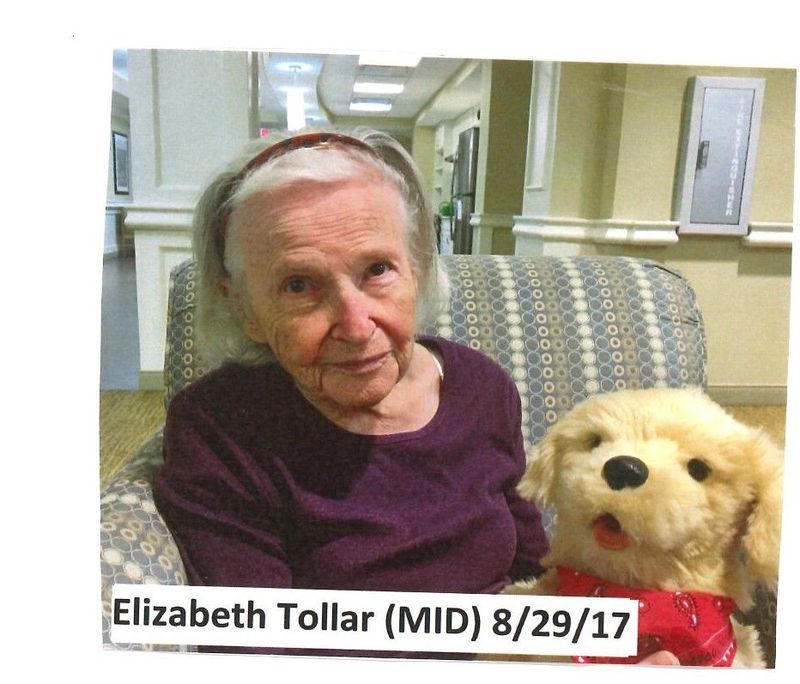 Elizabeth N. Tollar