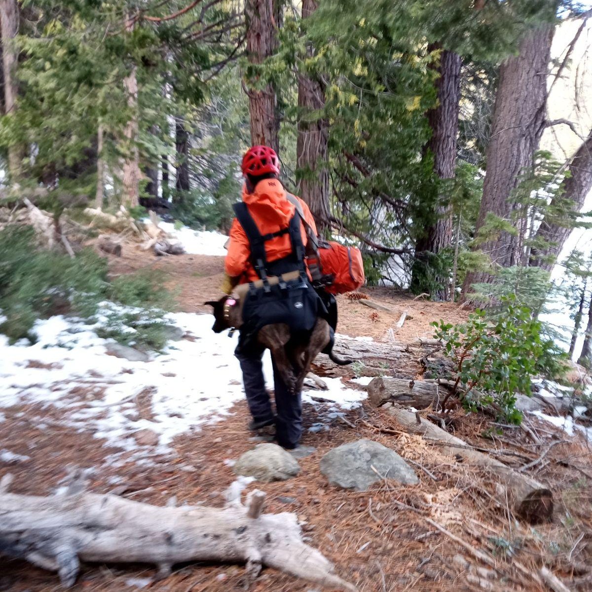 Dog rescued after tumbling 200 feet down Lake Tahoe waterfall