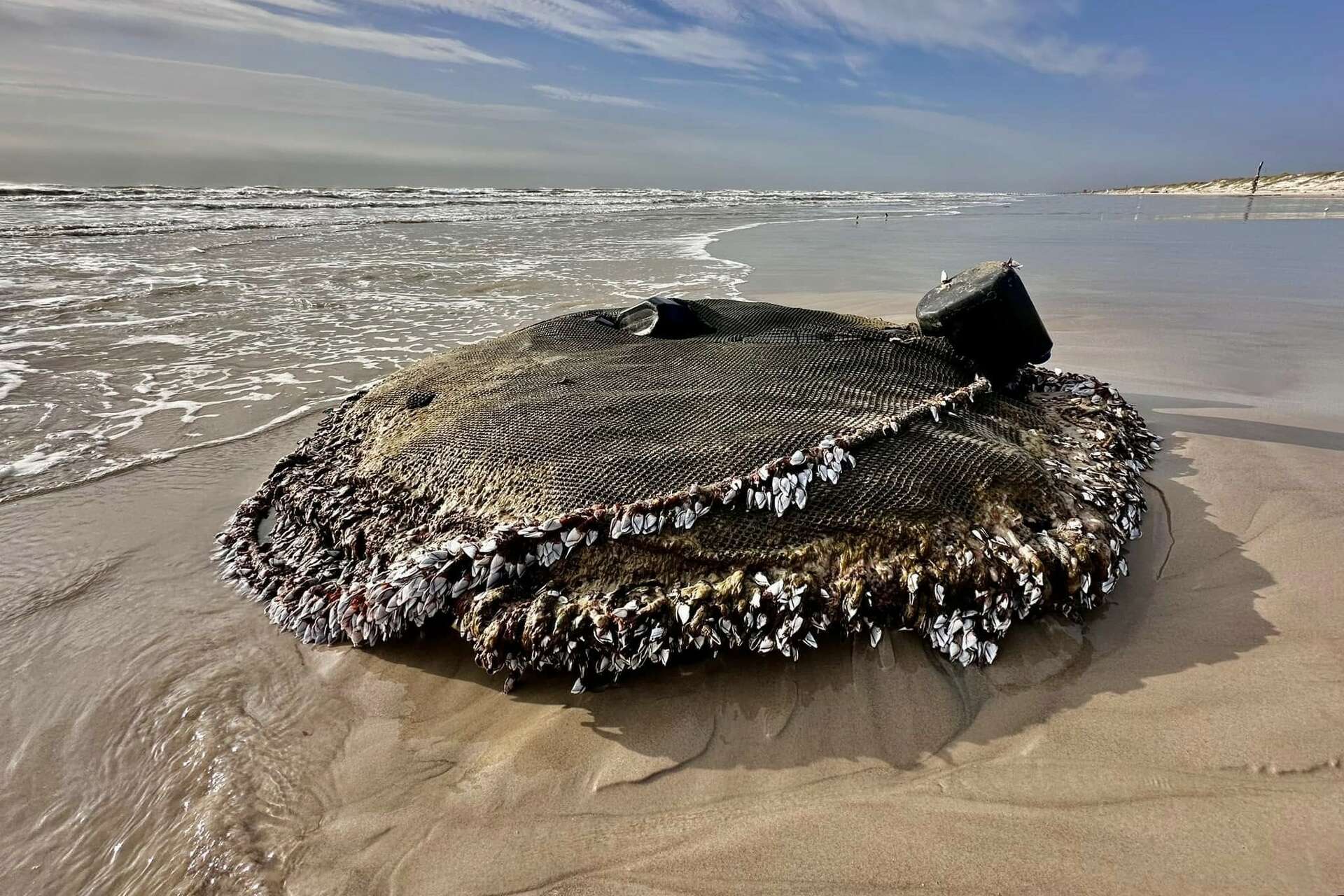 Watch out for fish aggregating devices on the Texas coast