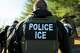 ICE online database tracks migrant detainees in custody