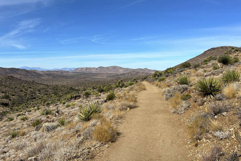 This Calif. Joshua Tree National Park hike is an endangered time warp