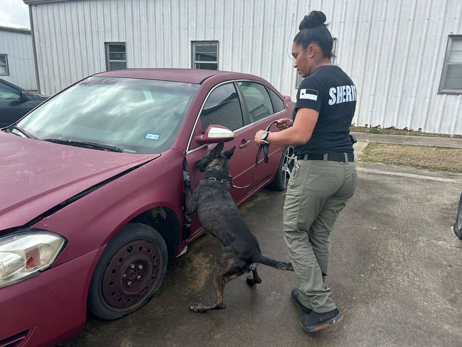 Jefferson County Sheriff's Office adds new K9 deputy