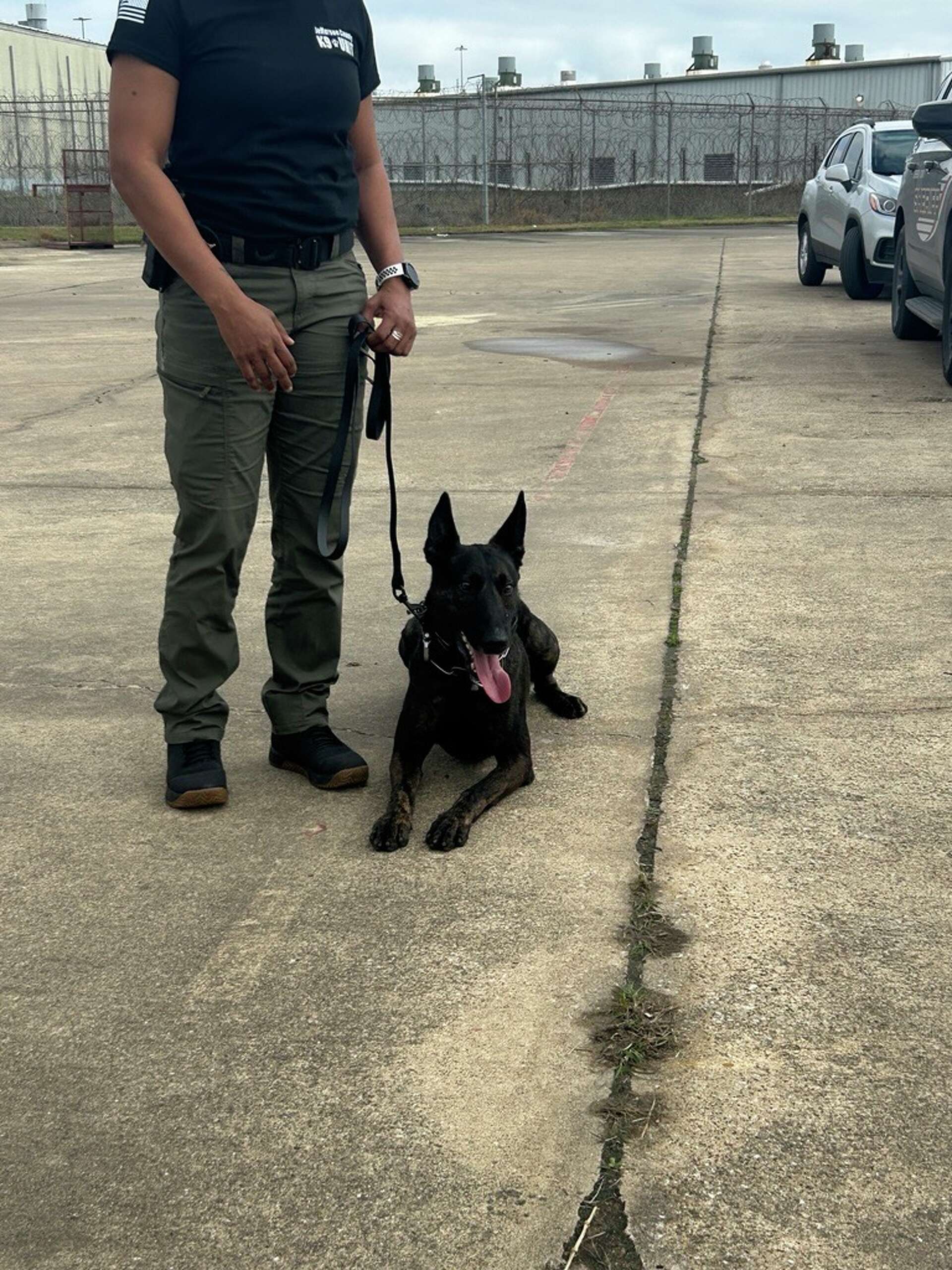 Jefferson County Sheriff's Office adds new K9 deputy