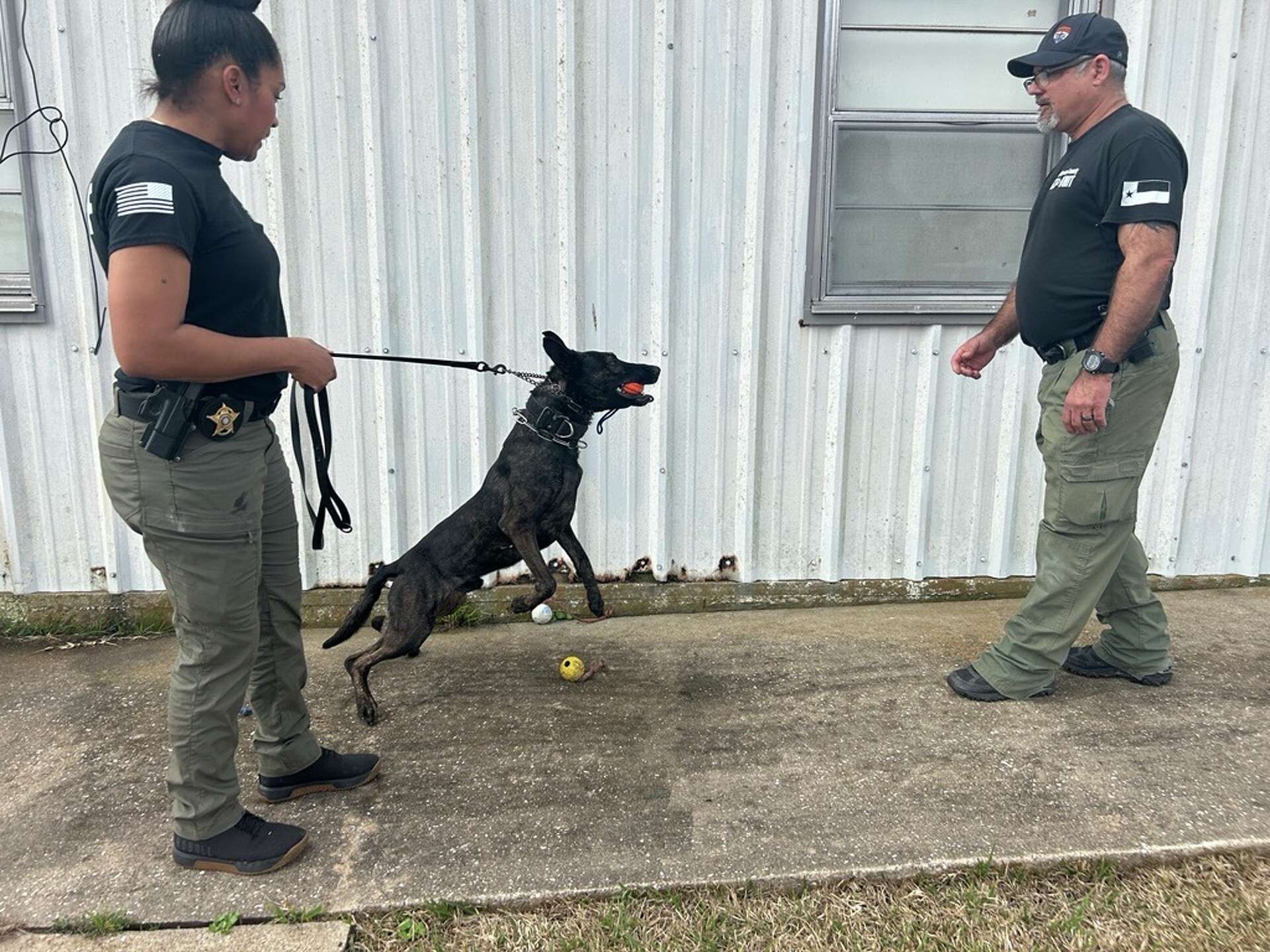 Jefferson County Sheriff's Office adds new K9 deputy