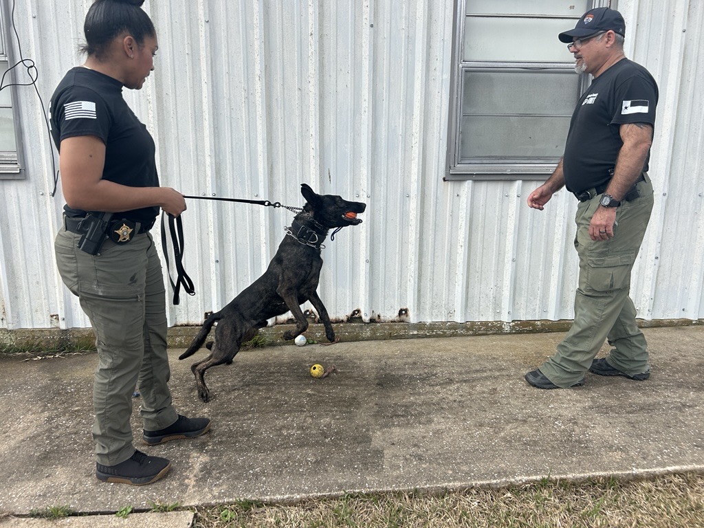 Jefferson County Sheriff's Office adds new K9 deputy