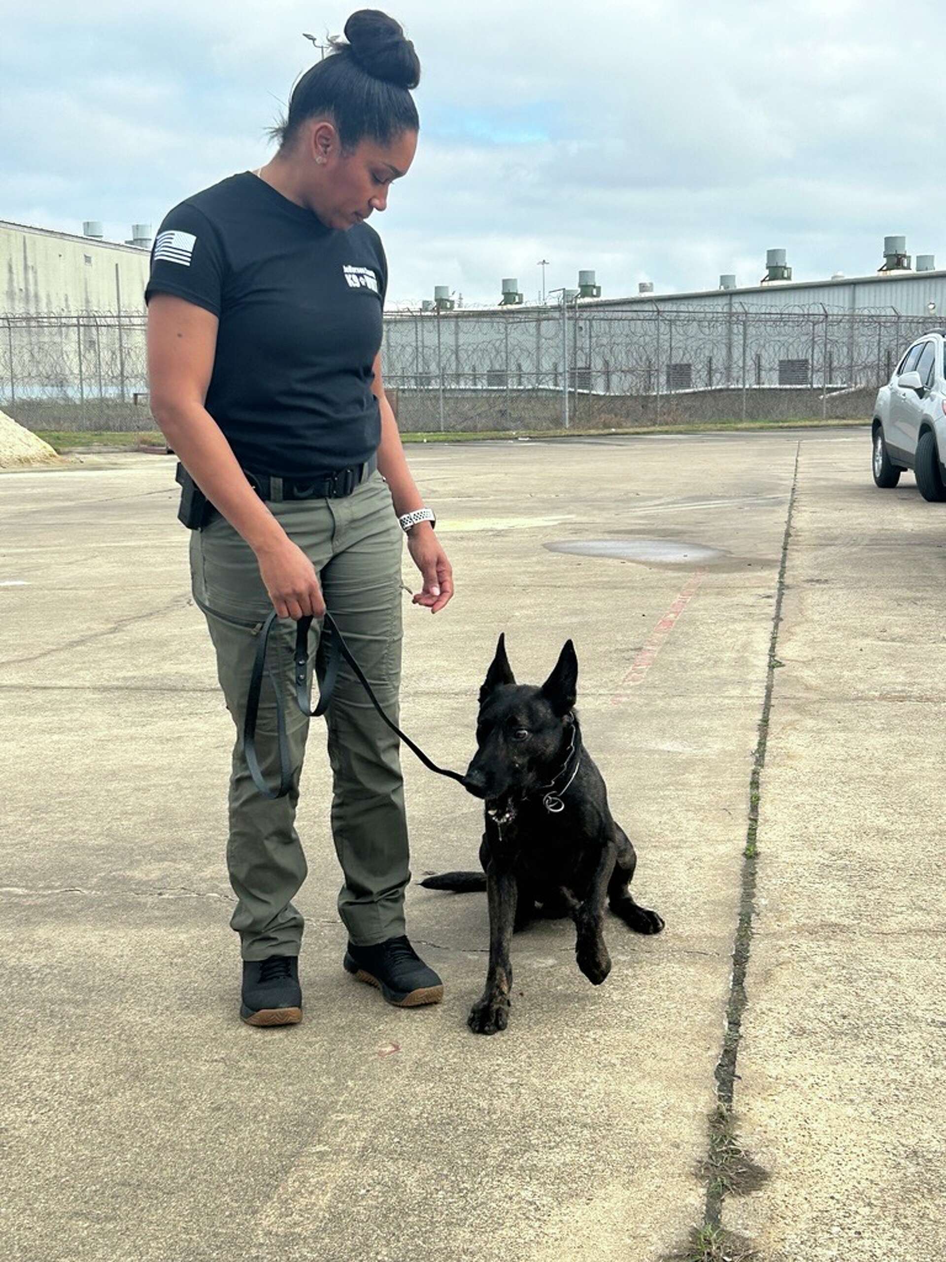 Jefferson County Sheriff's Office adds new K9 deputy