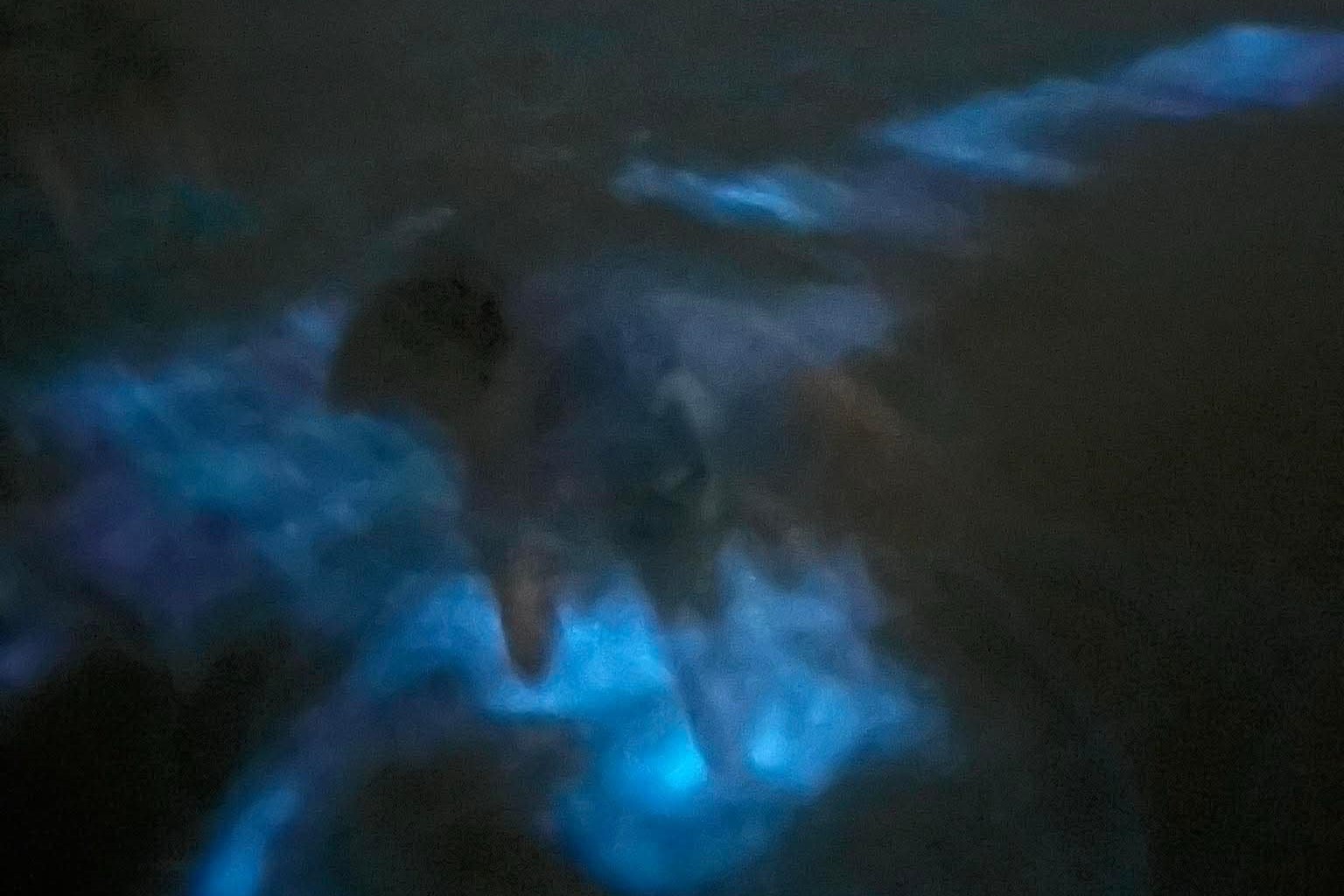 'Sea sparkle' makes Texas beach glow in the dark