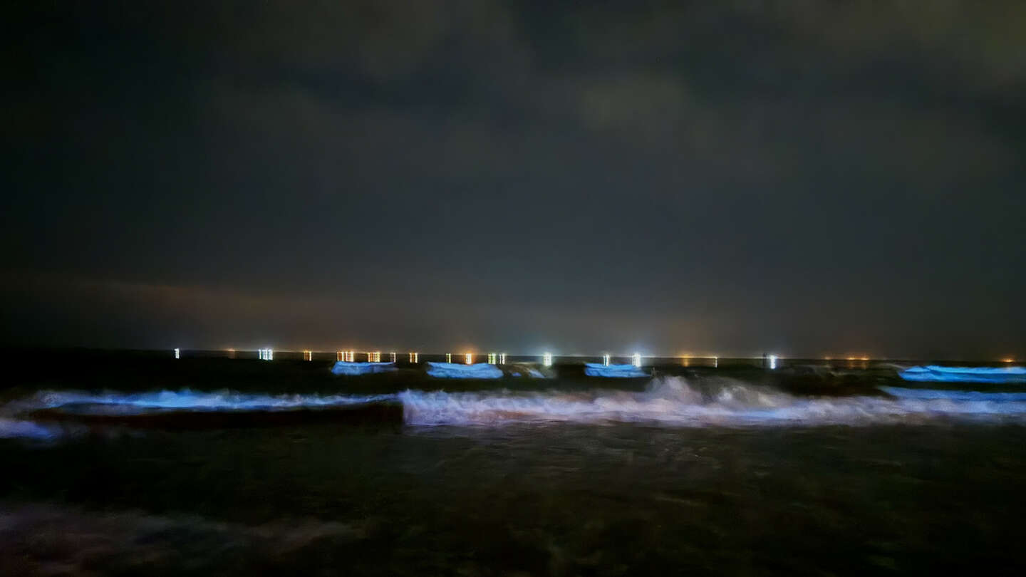 'Sea sparkle' makes Texas beach glow in the dark