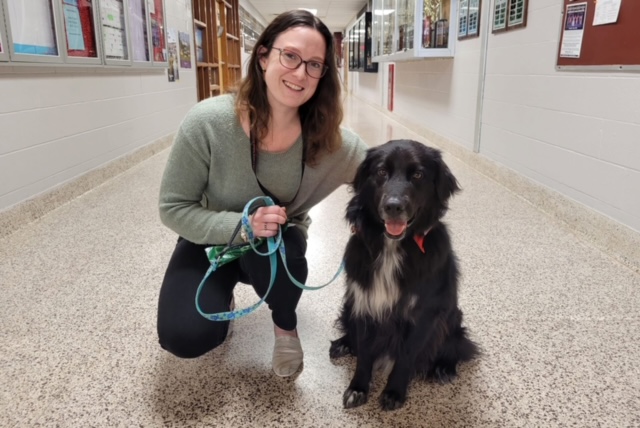 Therapy dog on staff at Chatham High