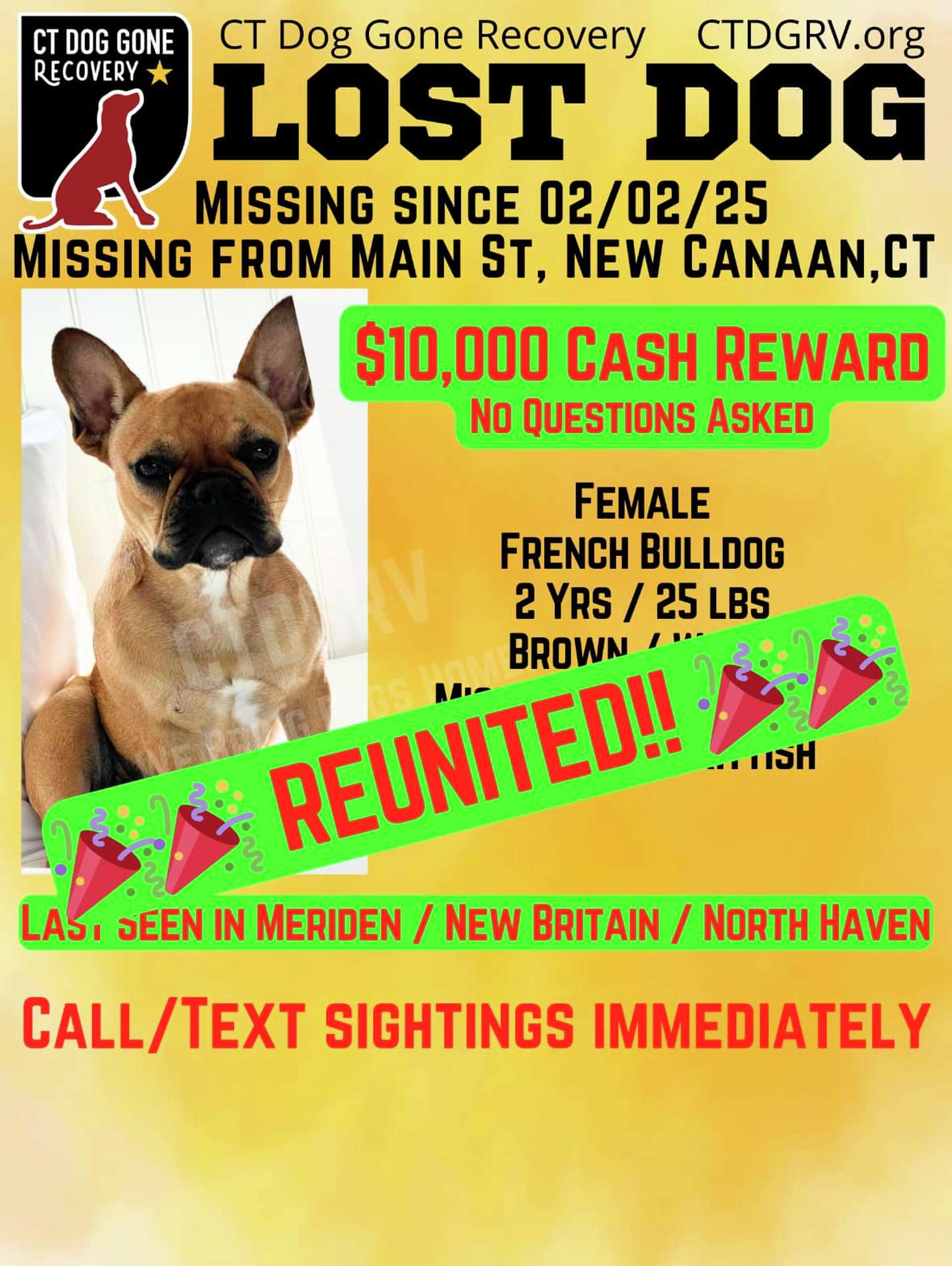 French bulldog found after being stolen inside New Canaan SUV