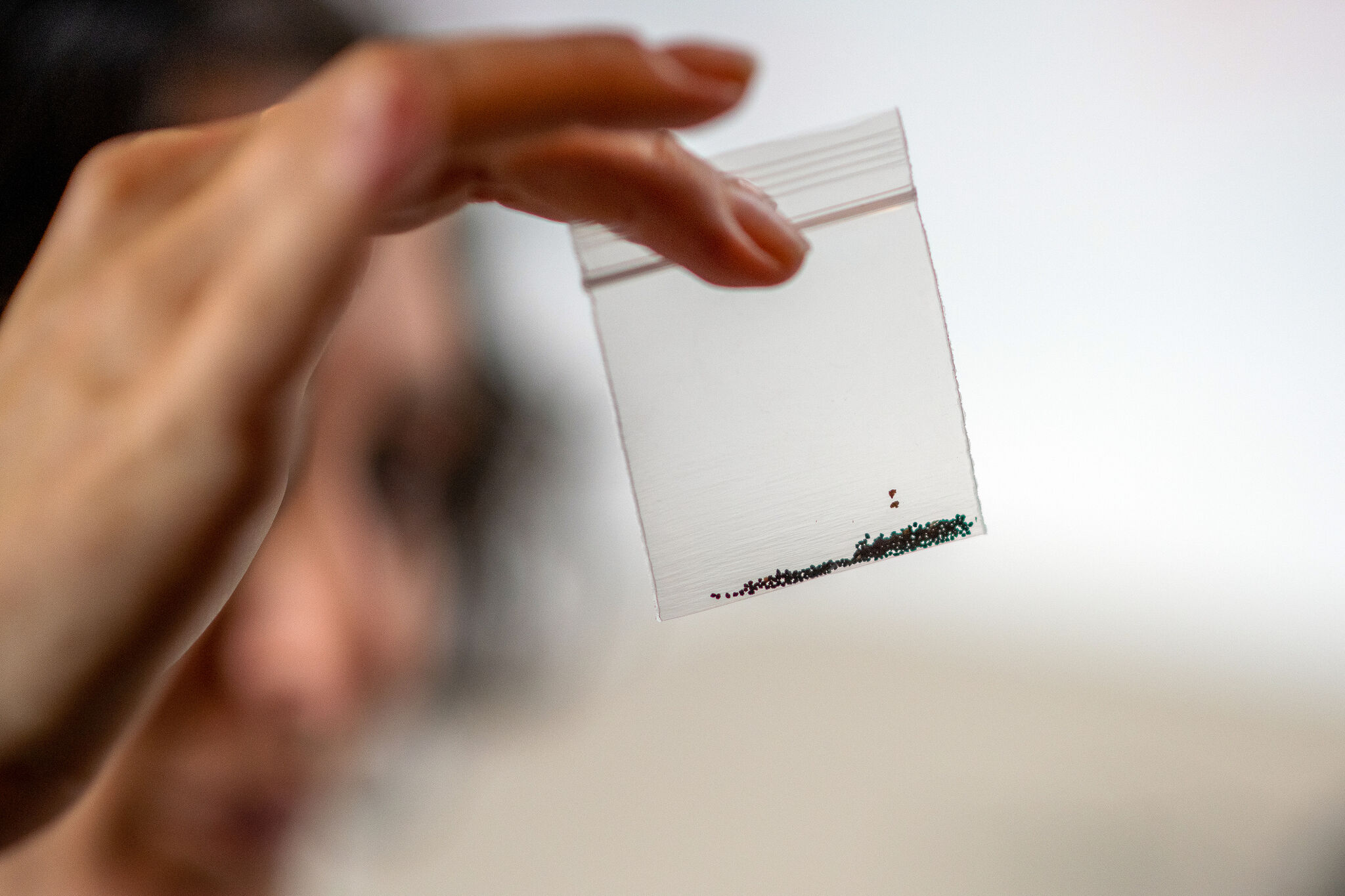 Mystery Chinese seed packages return to Texas, officials warn