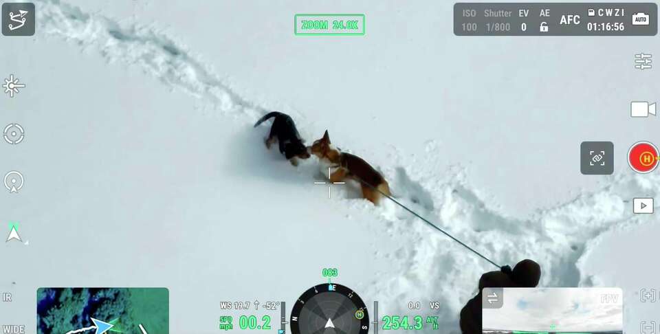 Retired investigator finds missing pets with drones