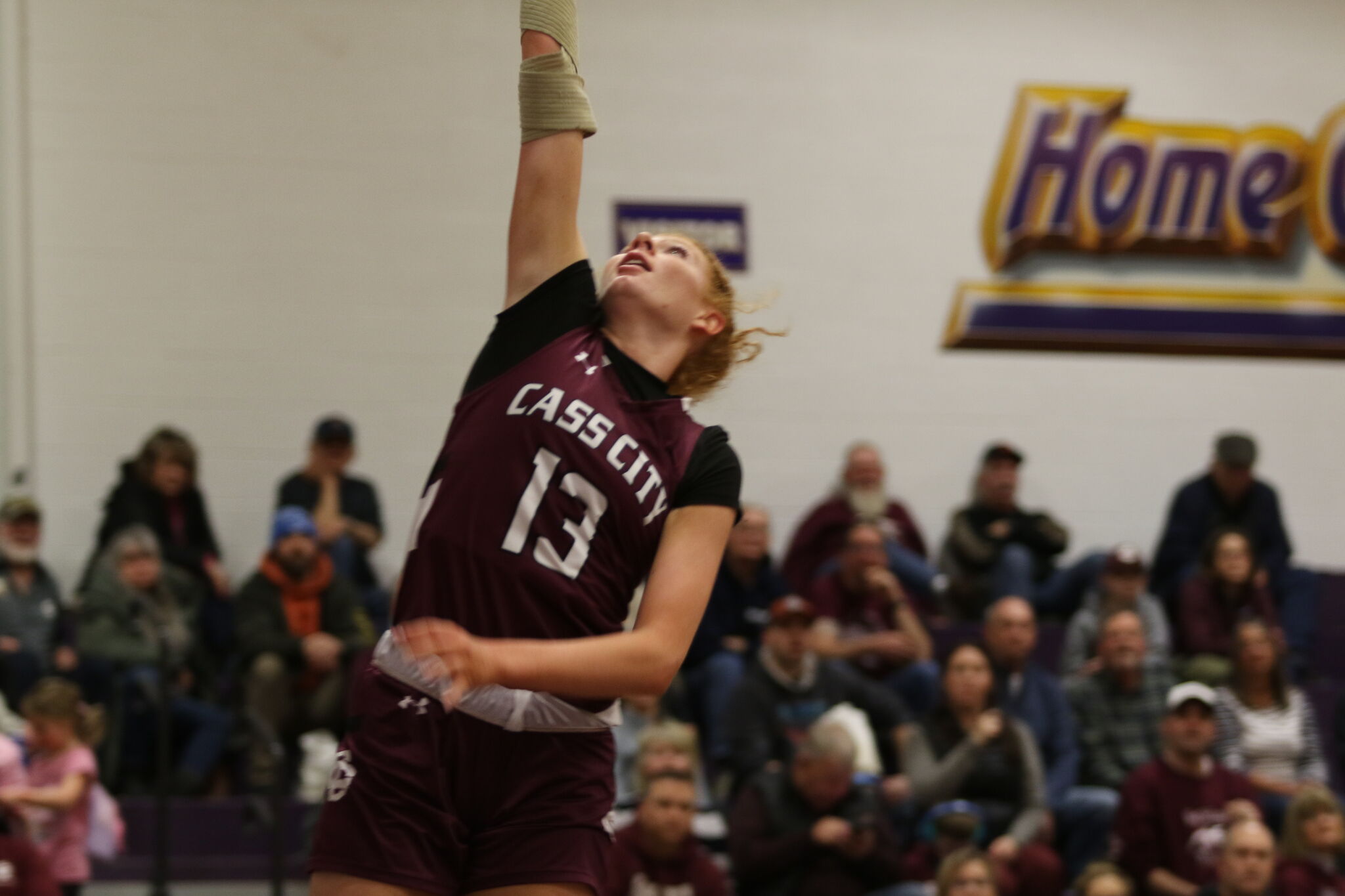 Cass City's Ignash sisters lead girls standouts