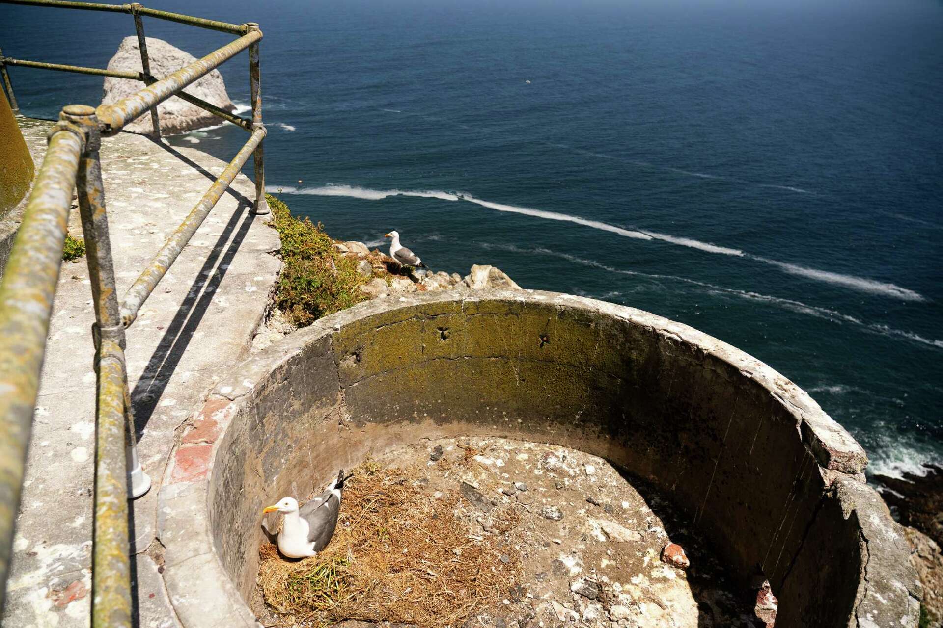 Farallon Islands off SF to have no humans for first time in 170 years