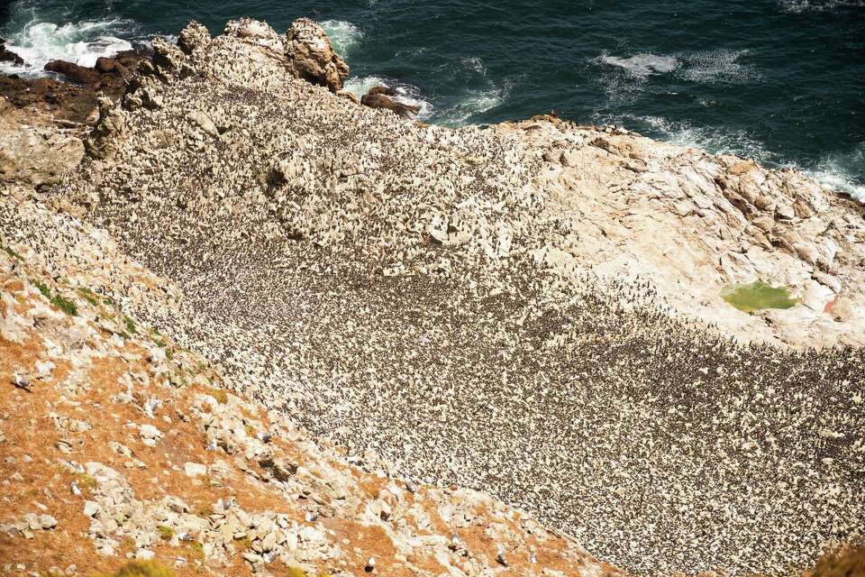 Farallon Islands off SF to have no humans for first time in 170 years