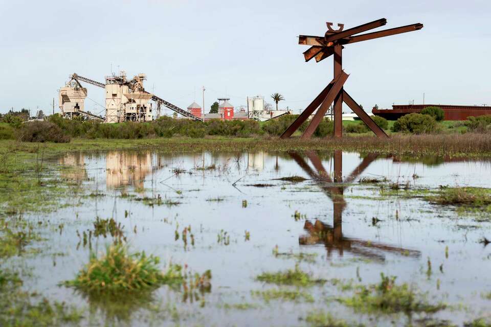 Petaluma is the most underrated North Bay day trip in the Bay Area