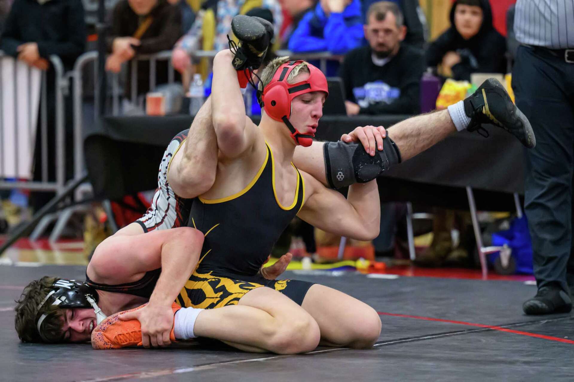 Gabe and Liam English each win Section II Division II wrestling titles