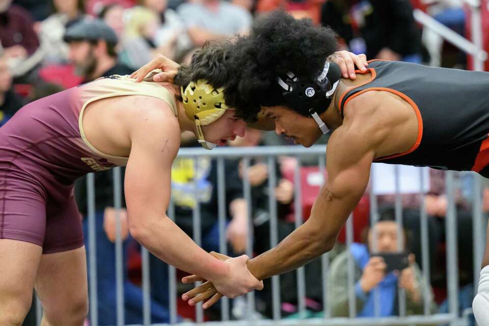 Gabe and Liam English each win Section II Division II wrestling titles