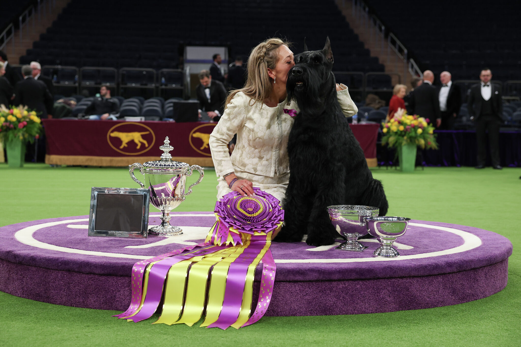 CT's Giant Schnauzer Monty retires after winning Westminster Dog Show