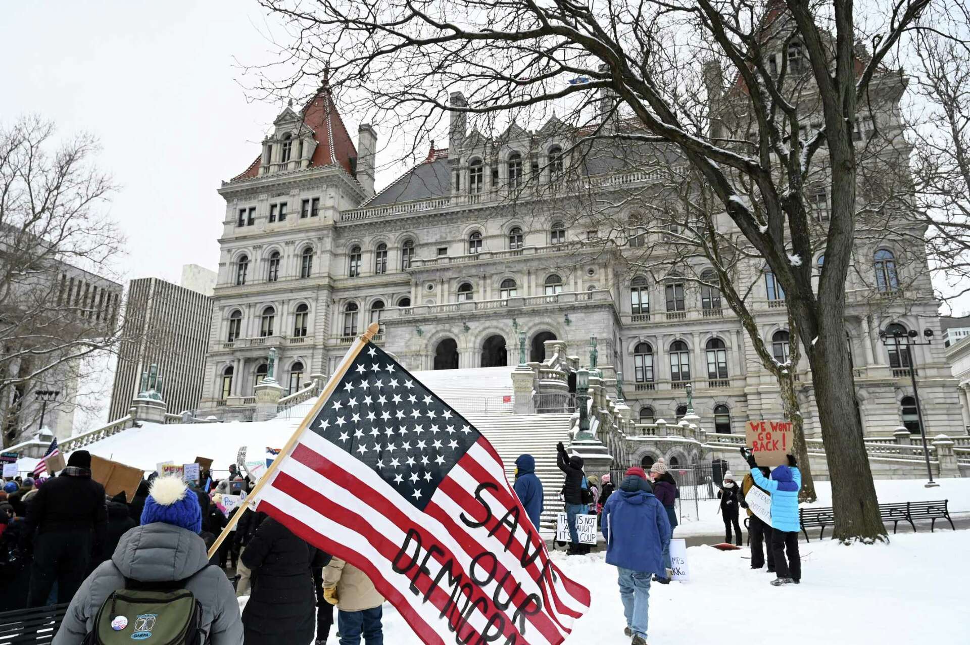 Photos: Albany protesters join national anti-Trump/Musk demonstration