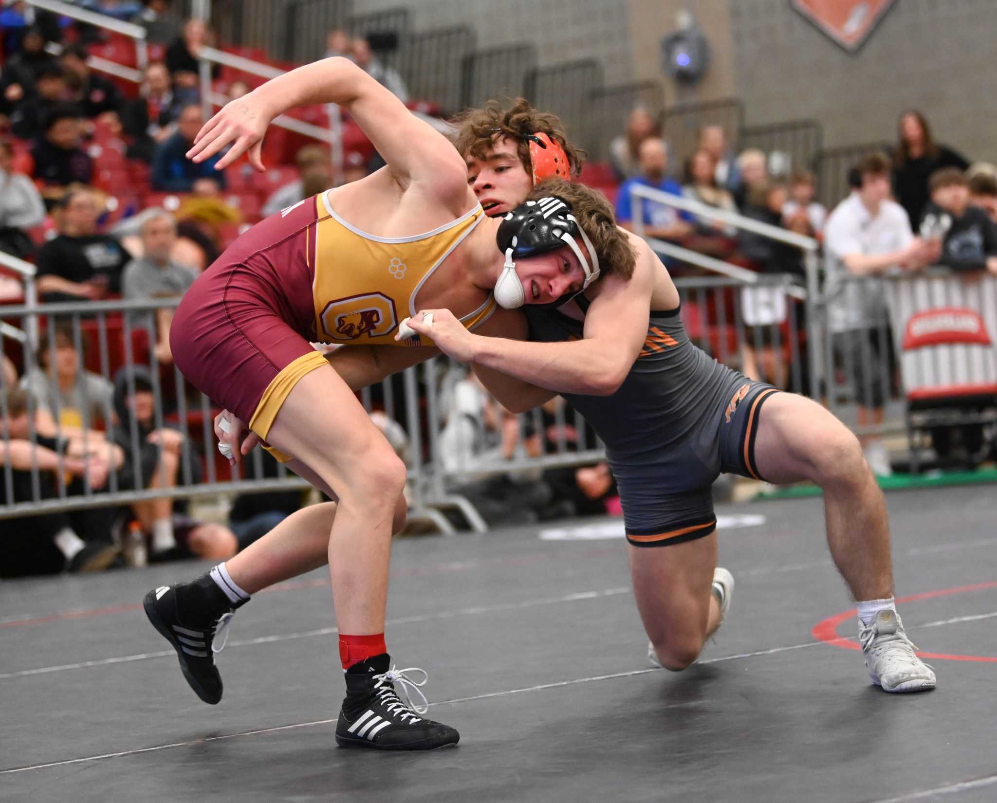 Meet Section II's wrestlers heading to this week's state championships
