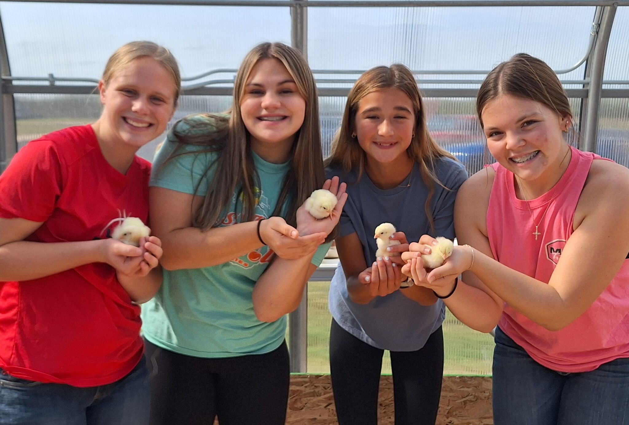 Winning numbers drawn in Wednesday’s Michigan Classic Lotto 47 Double Play