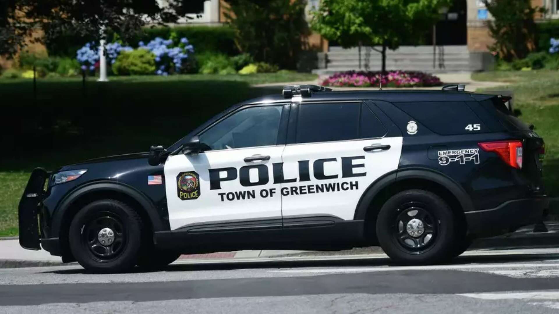 Greenwich woman charged with cruelty hadn't fed dogs in days: Warrant
