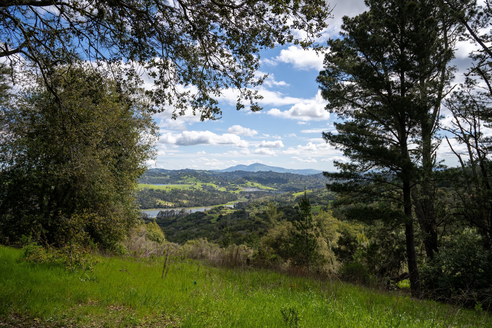 Police name man they say killed woman jogging in busy Bay Area park