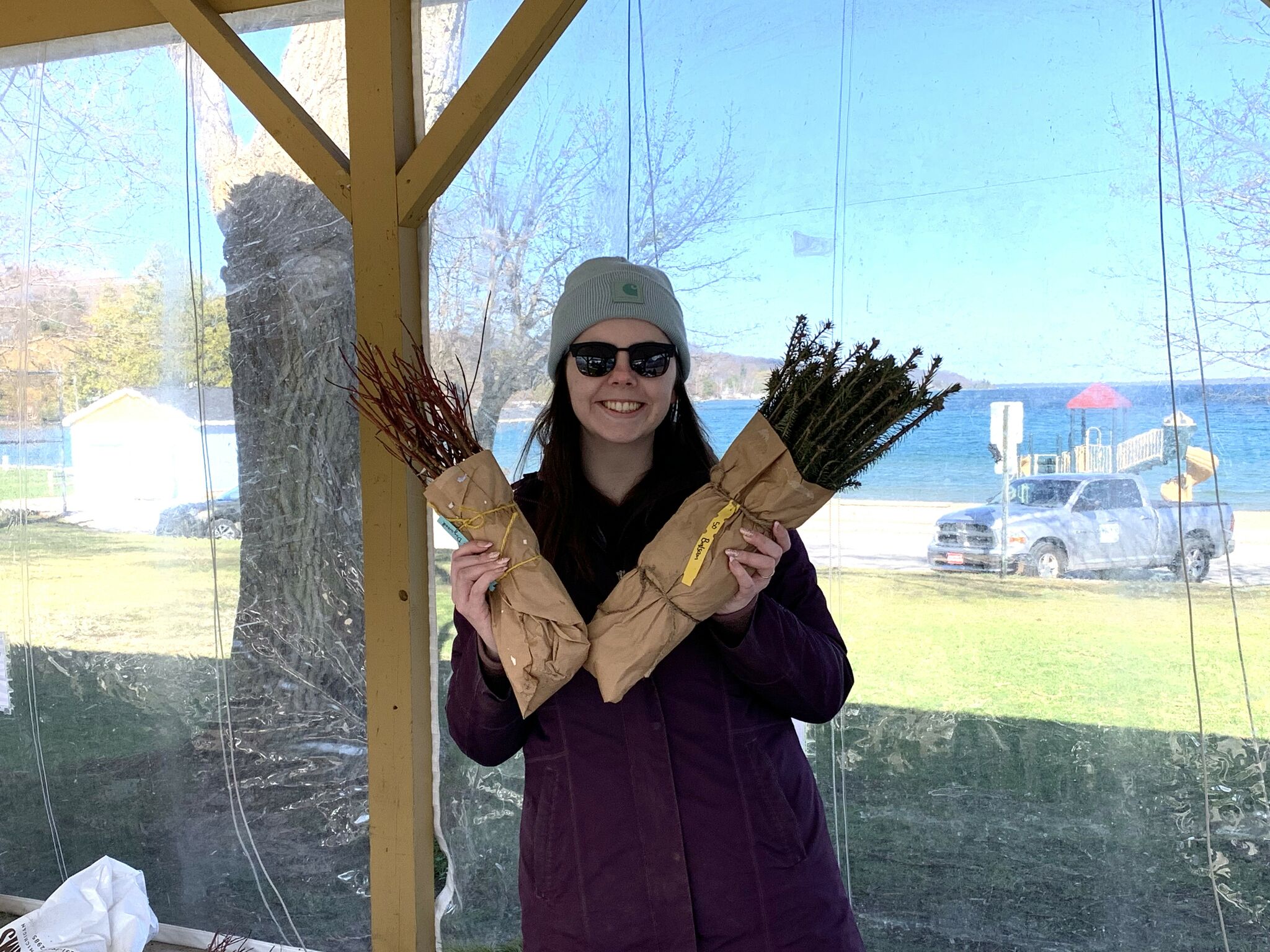 Spring tree planting: How to choose the right species for your land